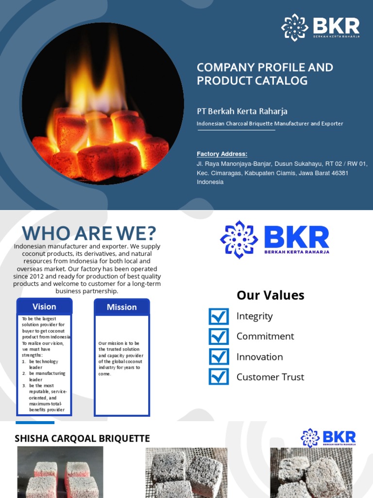 BKR Company Profile - SC | PDF | Indonesia | Economies