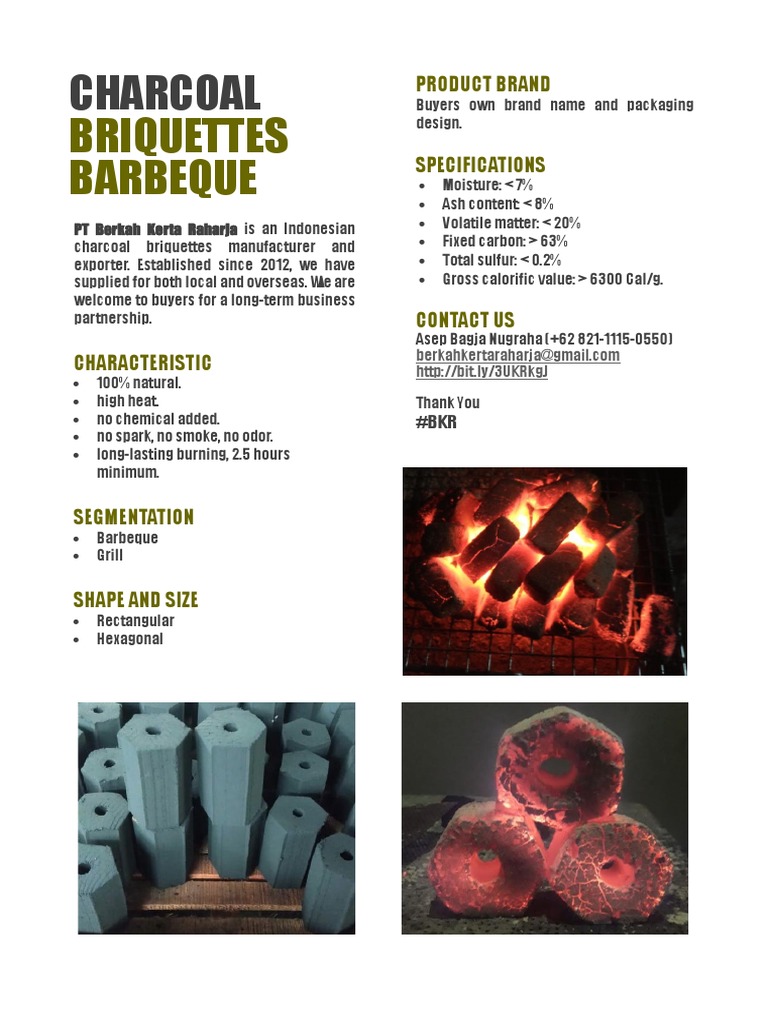 Barbeque Briquette | PDF
