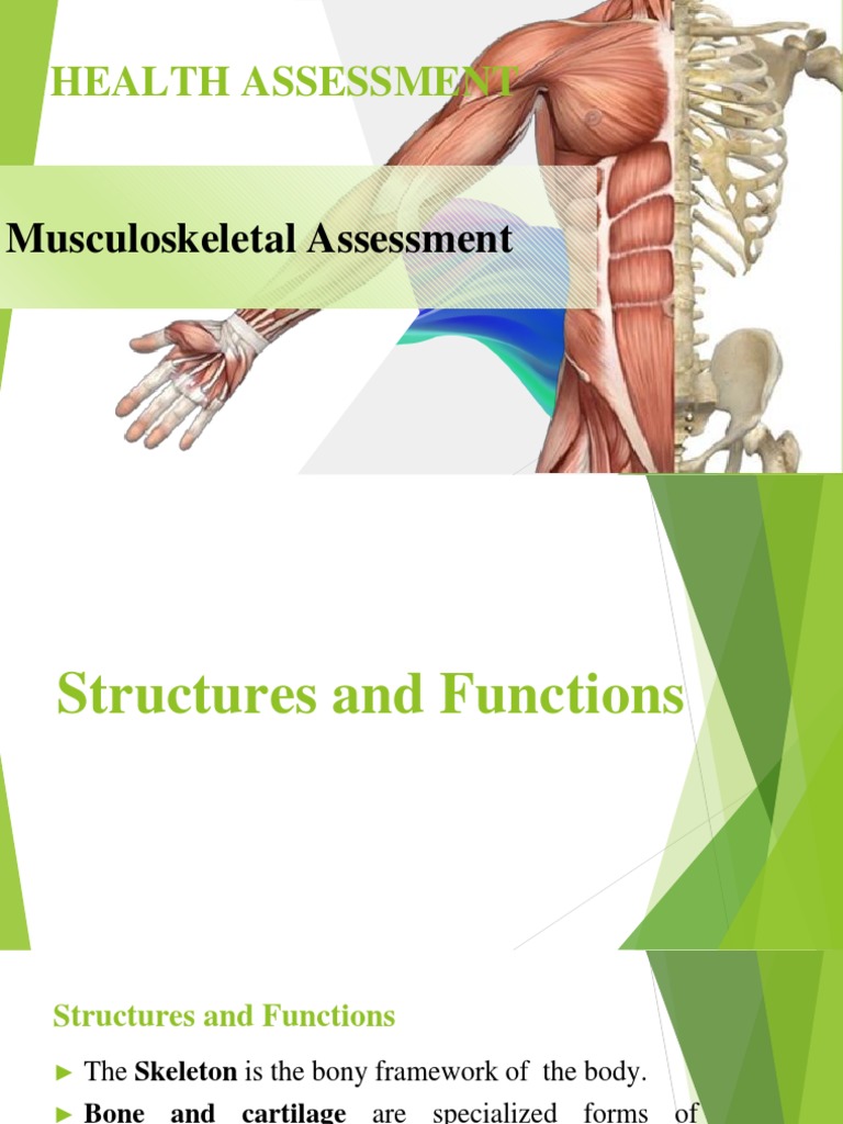 Week-13-Musculoskeletal-Assessment | PDF | Knee | Anatomical Terms Of ...
