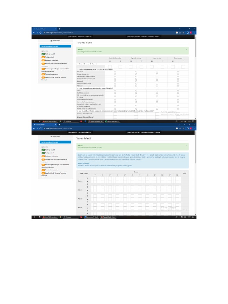 Encuestas Sace | PDF