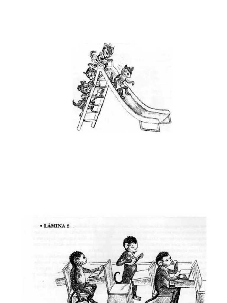 Test Cat-S para Imprimir | PDF