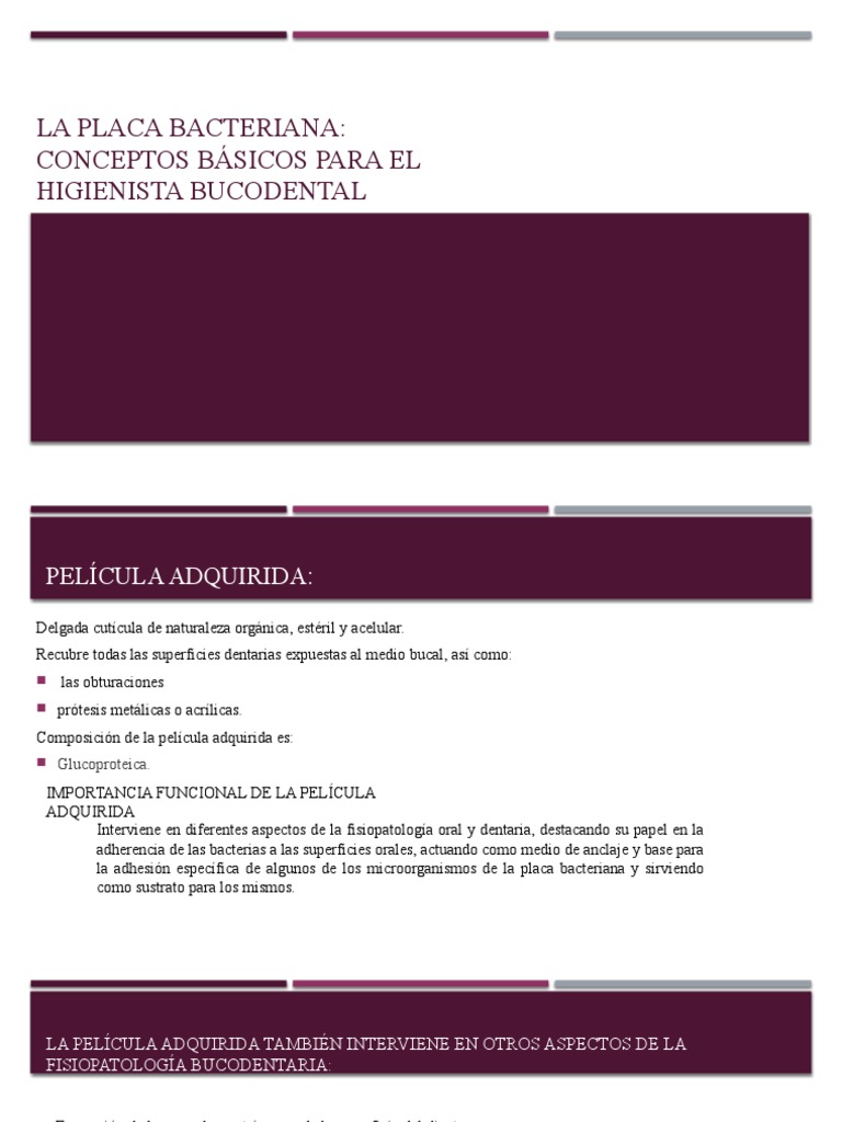 La importancia de la película adquirida y la placa bacteriana en la salud bucodental | PDF | Las ...