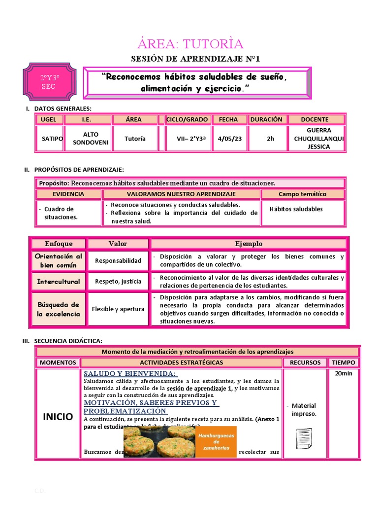 2° y 3° SESIÓN DE APRENDIZAJE SESIÓN1-SEM.1-EXP.2 TUTORIA | PDF | Aprendizaje | Conceptos ...
