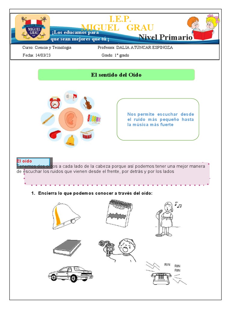 Ficha - El Sentido Del Oido - Ciencia y Tecnologia | PDF