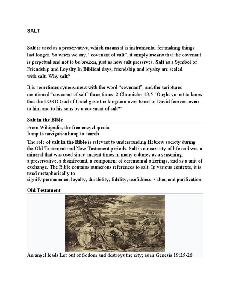 SALT Neo Com 2 BATO | PDF