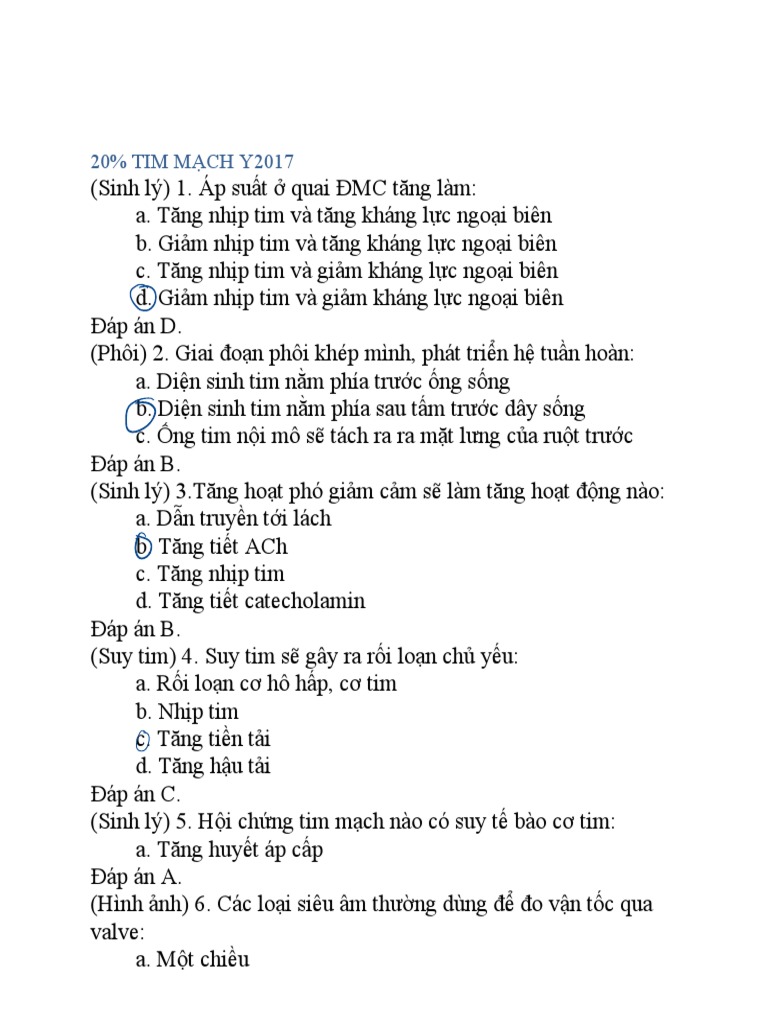 Y17 20 Tim Mach | PDF