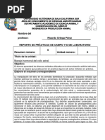 Protocolo de Sincronizacion. Ovsynch | PDF | Vacas | Reproducción humana