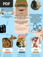 Protocolo MARCH TASTICO | PDF