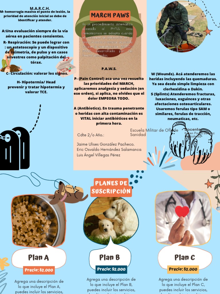 March Paws | PDF | Especialidades Quirúrgicas | Lesión