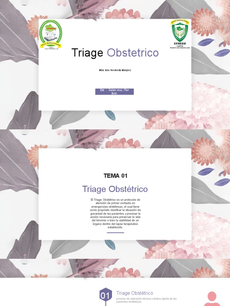 Triage Obstetrico. Galan Cruz Flor Itzel | PDF | Septicemia ...