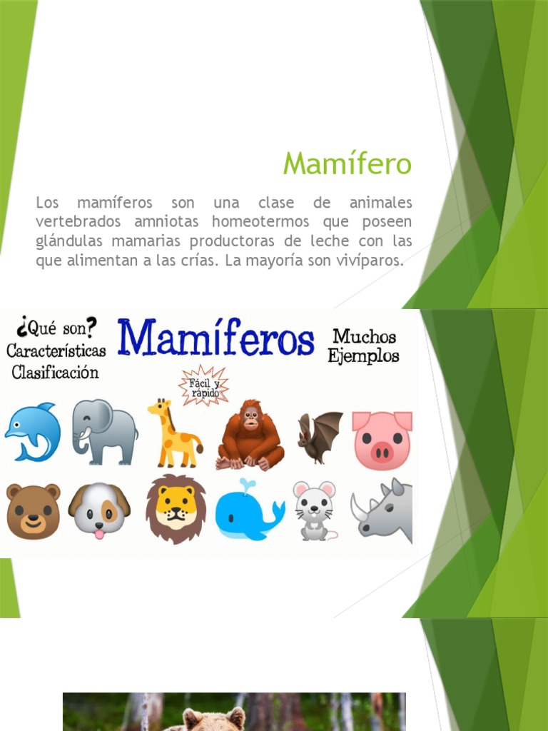 Definición y características de mamíferos | PDF