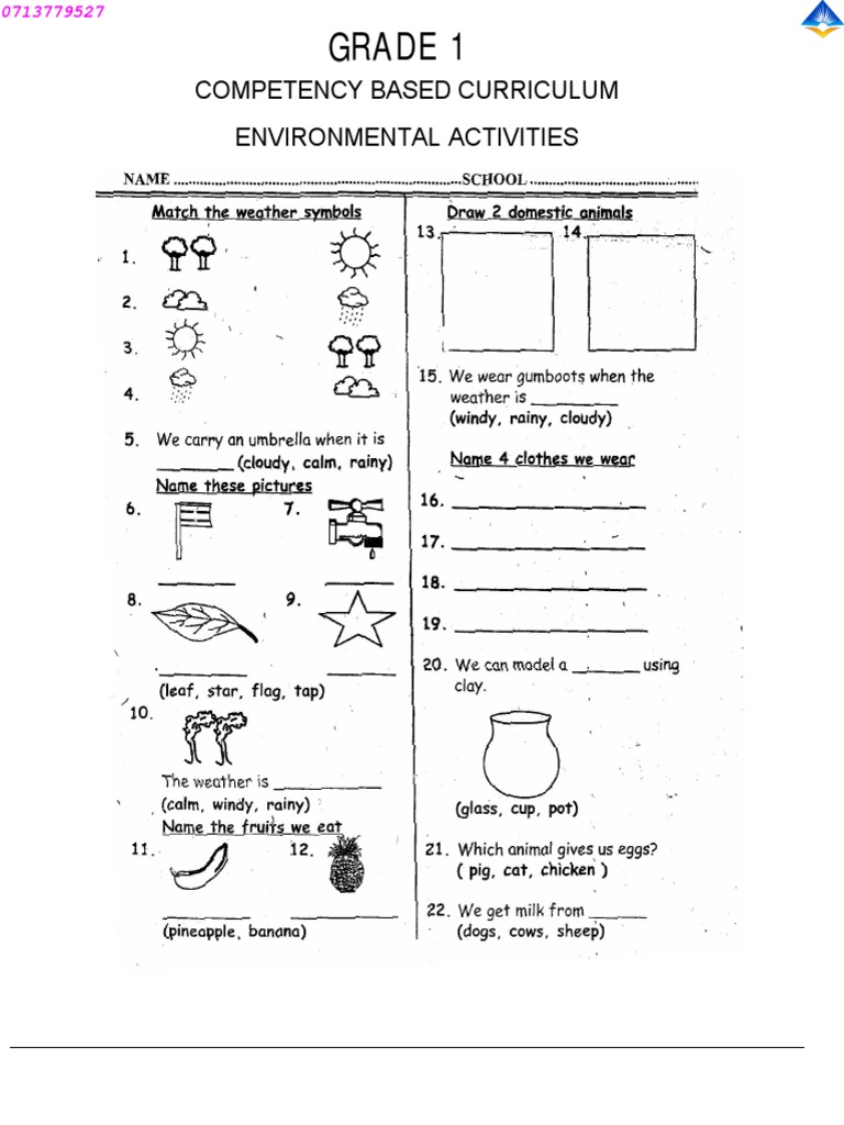 Environmental Grade 1-1 | PDF