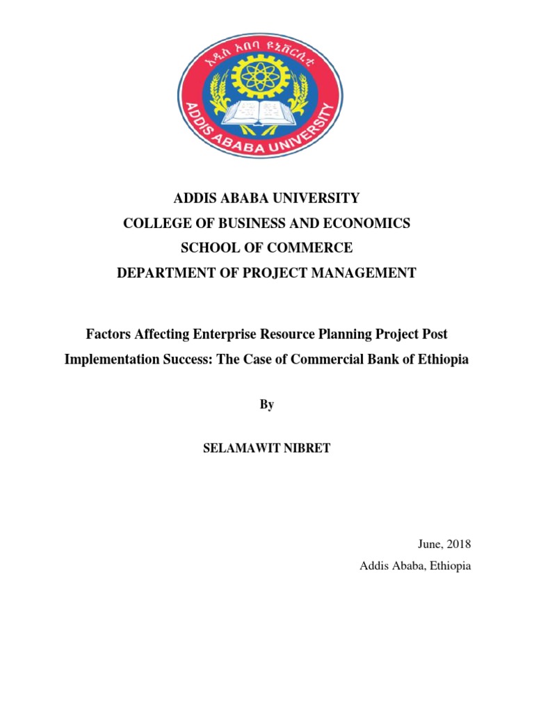 Selamawit Nibret | PDF | Enterprise Resource Planning | Project Management