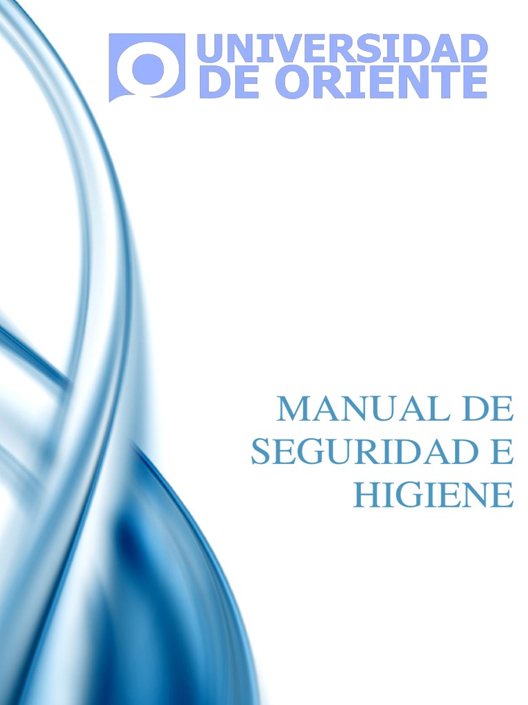 Manual de Seguridad e Higiene | PDF | Herida | Valores