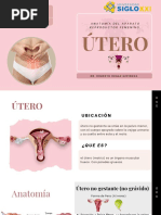 Anatomía del Útero y Anexos Femeninos | PDF | Útero | Ovario