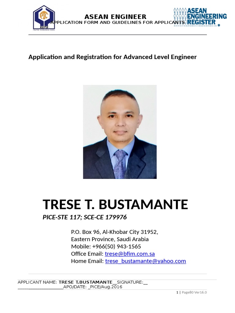 AER Form 2017 13.SAMPLE | PDF | Engineer | Engineering