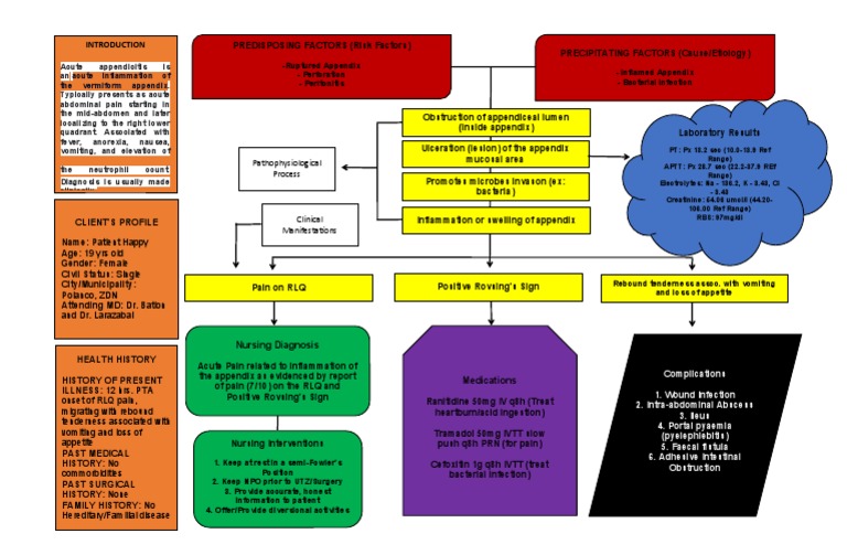 Appendicitis Concept Map Overview | PDF | Epidemiology | Health Sciences