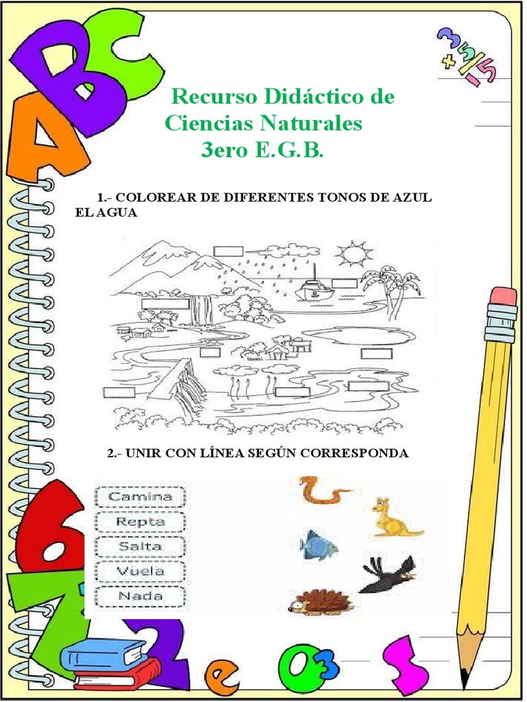 Actividades de Ciencias 3ero E.G.B. | PDF