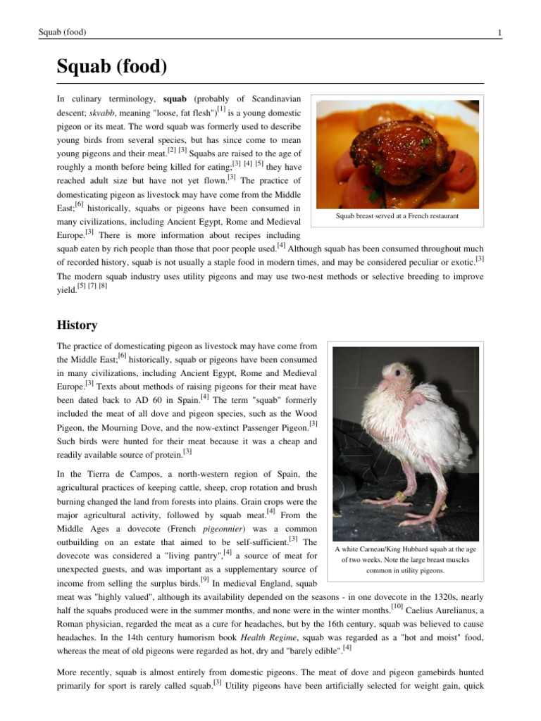 Squab (Food) | PDF | Domesticated Birds | Meat