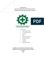 Pedoman Pembuatan Health Risk Assessment Idki-1 | PDF