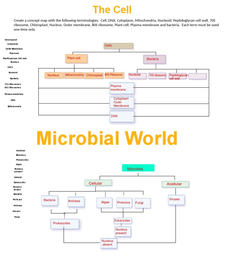 Concept Maps - Cell and Microbial World Activity | PDF