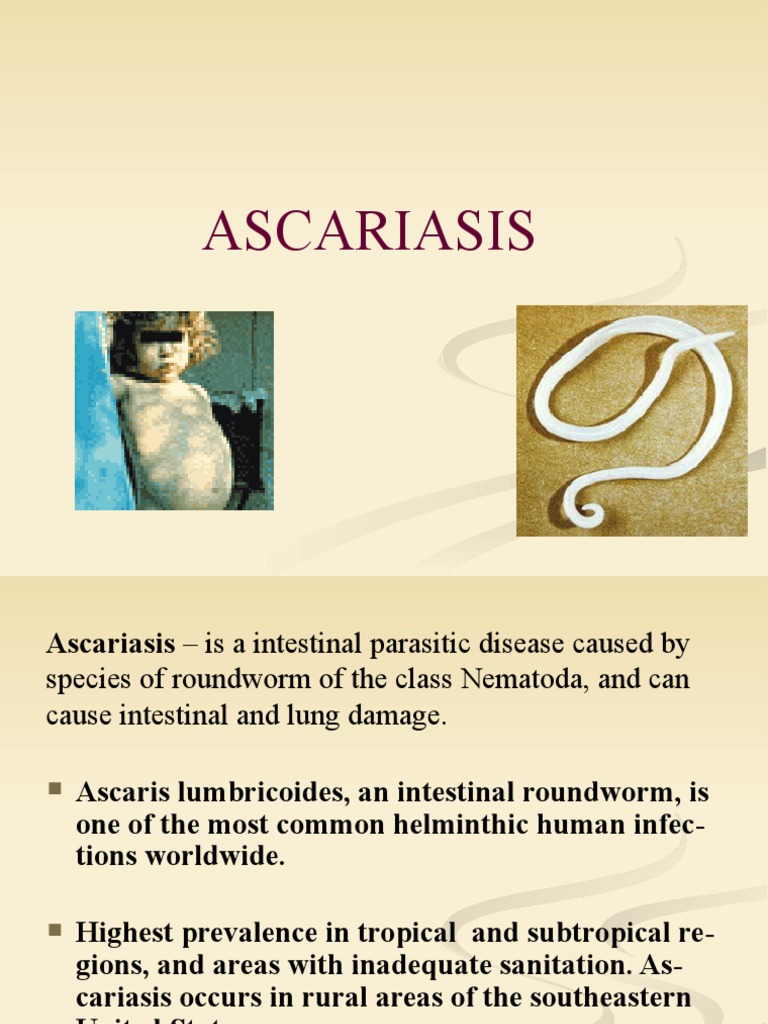 ASCARIASIS | PDF | Health Sciences | Public Health