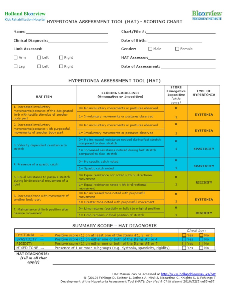 HAT Scoring Sheet 2017 09 | PDF