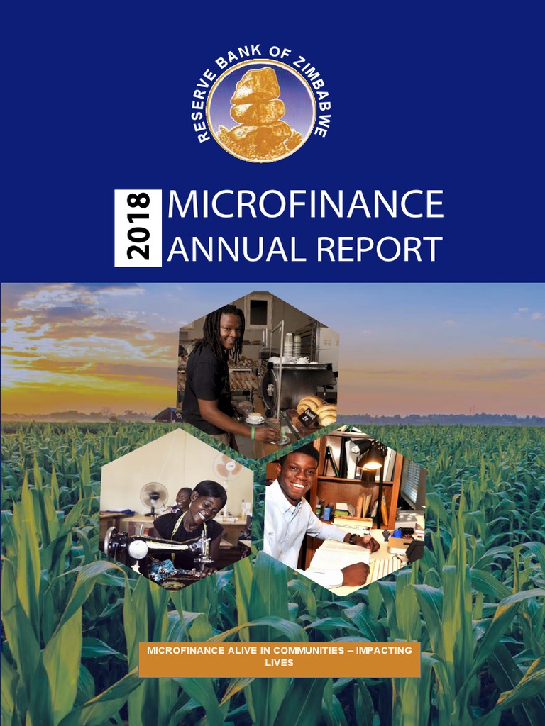Microfinance Annual Report 2018 | PDF | Microfinance | Inflation