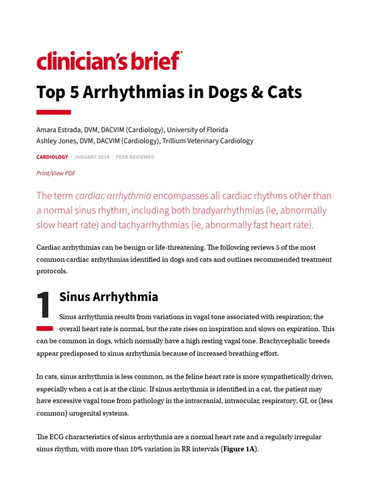 Top 5 Arrhythmias (Abnormal Heartbeat Rhythms) in Dogs & Cats ...