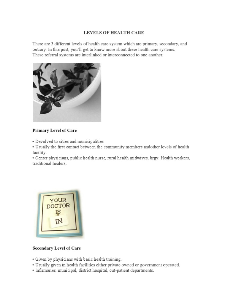 Levels of Health Care | PDF