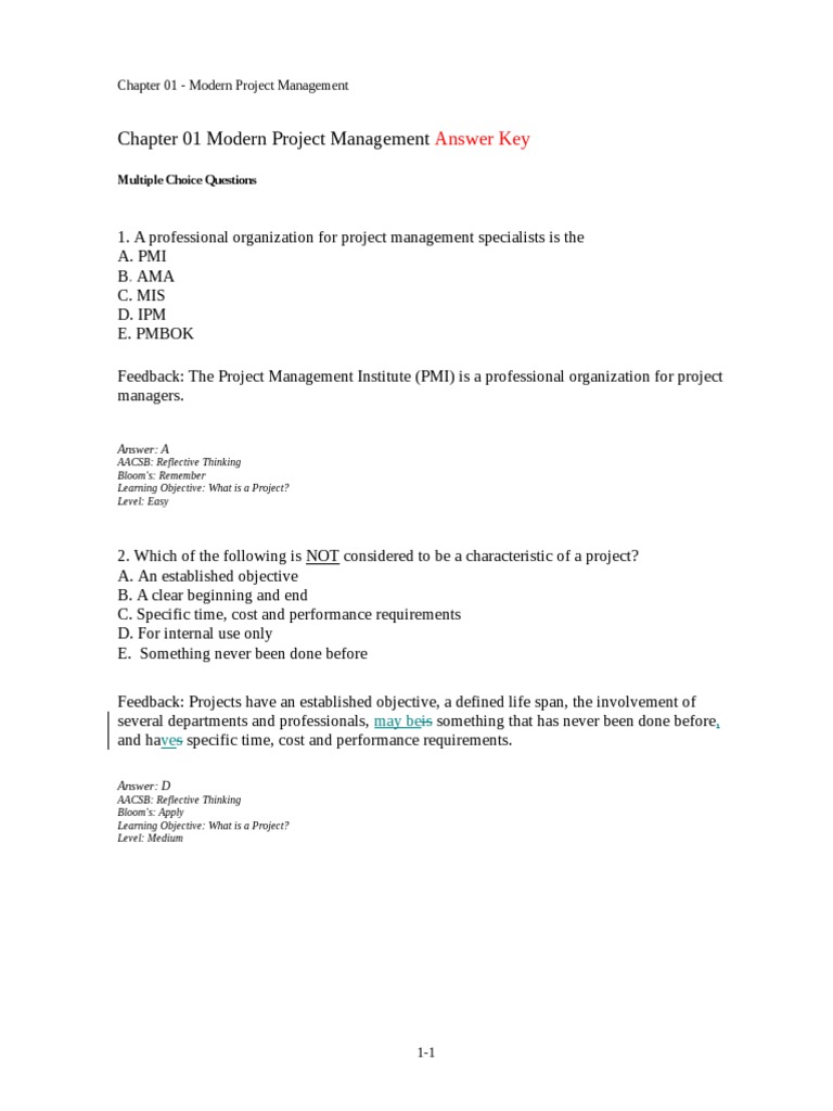 Chap 001 | PDF | Project Management | Thought