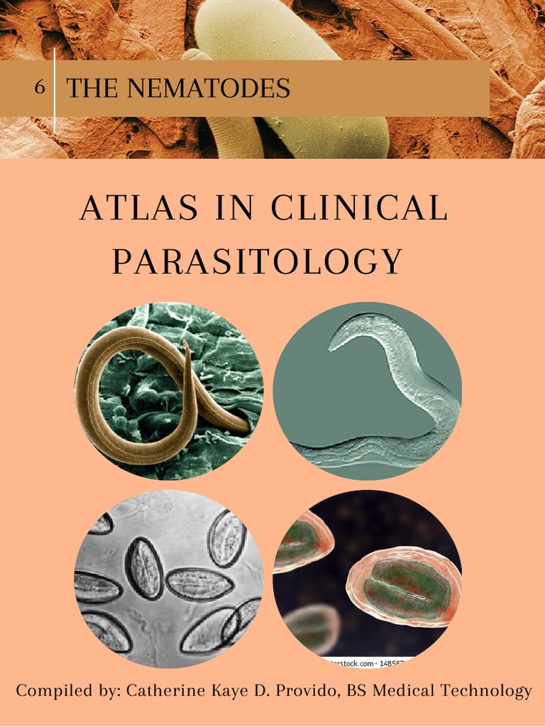 Provido Atlas in Nematodes | PDF | Nematode | Medical Specialties