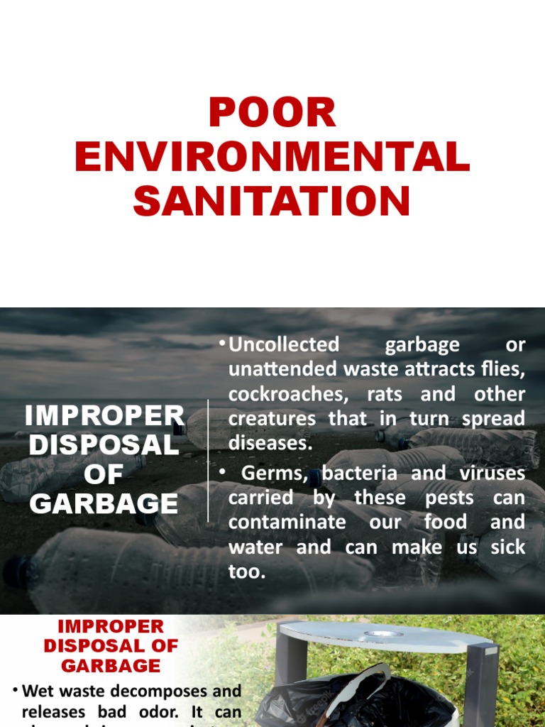 Poor Environment | PDF | Air Pollution | Waste