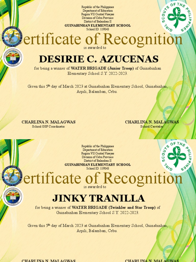 GSP Award Certificate | PDF