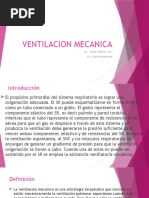 Cálculos Básicos en Ventilación Mecánica | PDF | Neumología | Sistema respiratorio