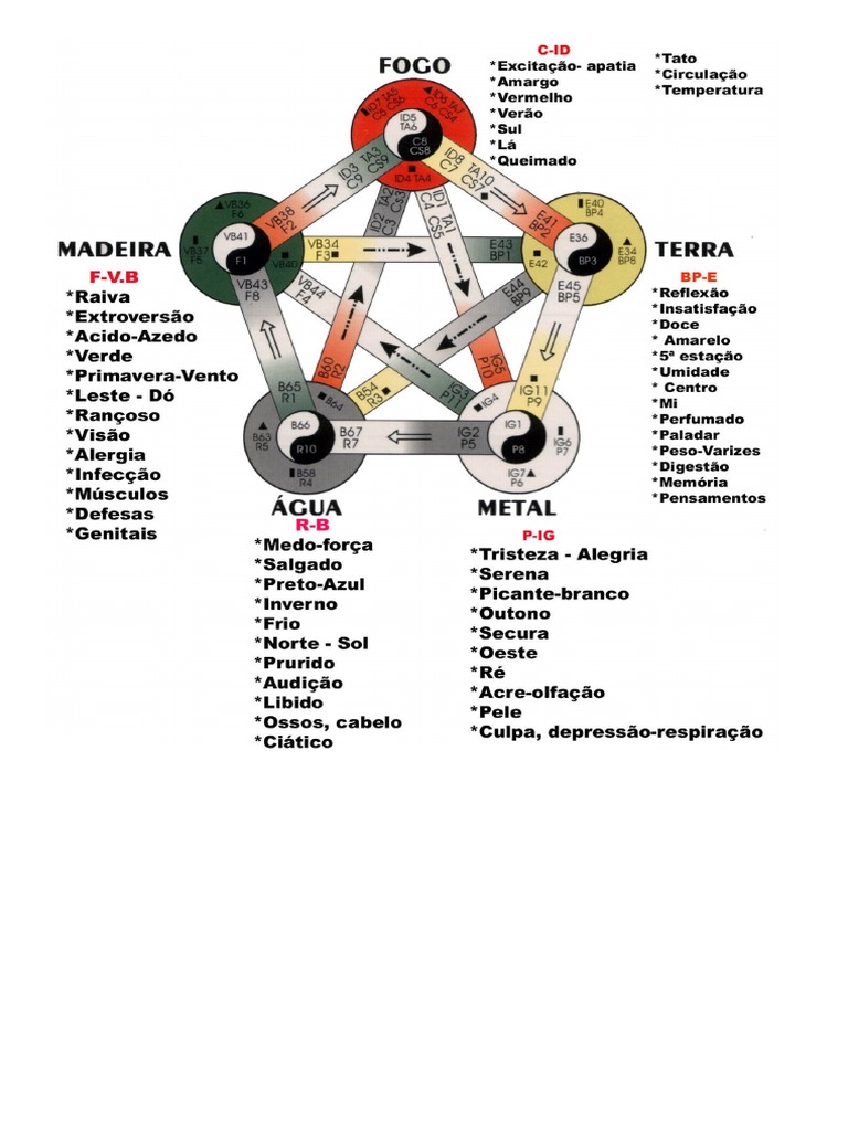 Cinco Elementos Chines | PDF