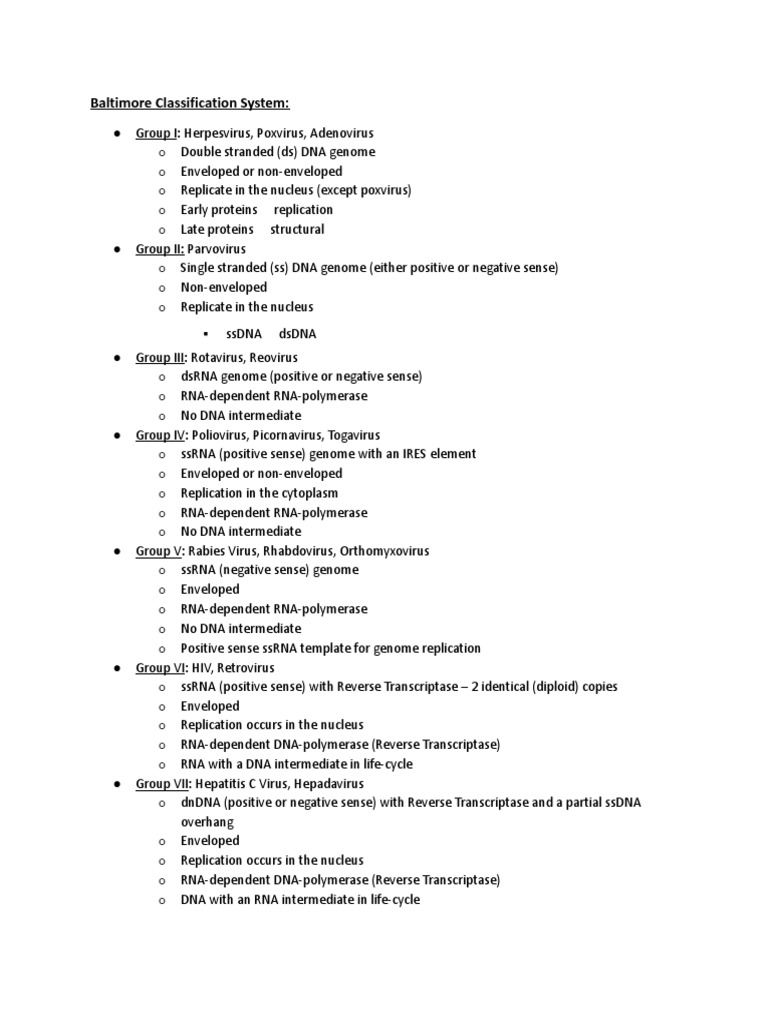 Baltimore Classification System Viral Genome Groups | PDF