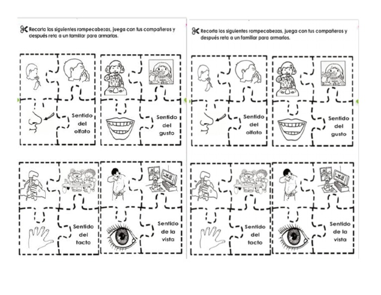 Rompecabezas de los sentidos | PDF