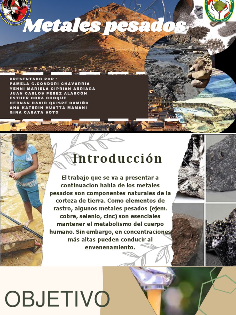 Metales Pesados | PDF | Rieles | Cadmio