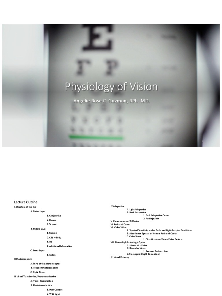 Physiology of Vision: Structure and Function | PDF | Retina | Visual System