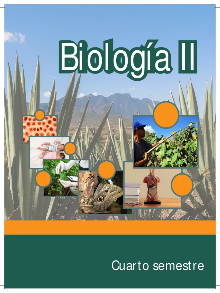 Biología II: Cuarto Semestre | PDF | Mitosis | Adn