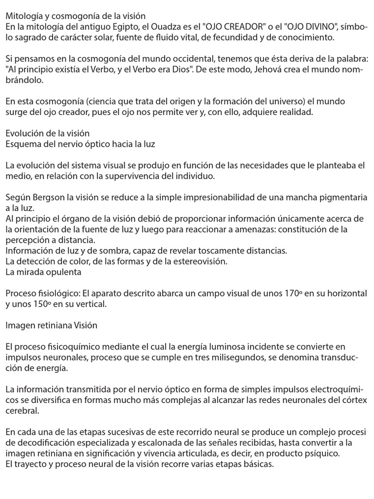 Gubern Resumen | PDF | Percepción visual | Ojo