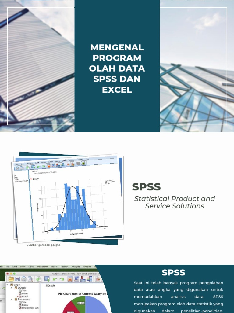 SPSS vs Excel: Program Olah Data Terbaik | PDF | Seni | Komputer