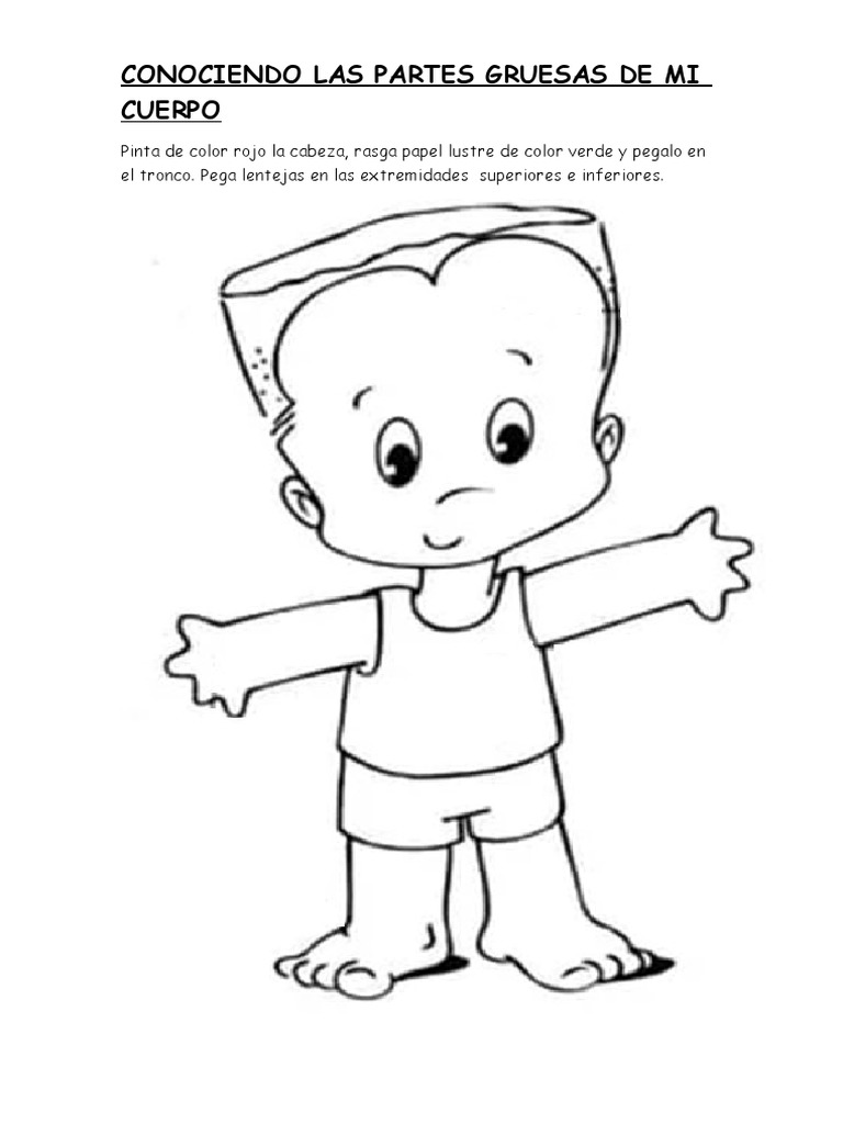 Conociendo Las Partes Gruesas De Mi Cuerpo Pdf