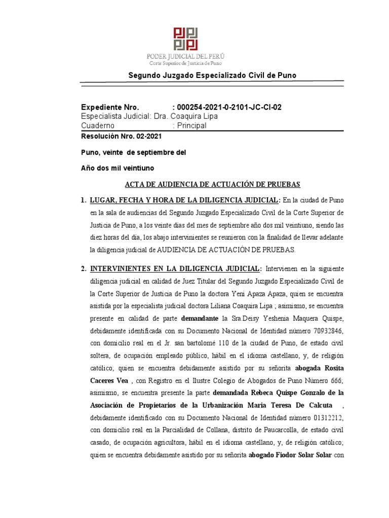 Actuacion de Medios Probatorios | PDF | Ley común | Justicia