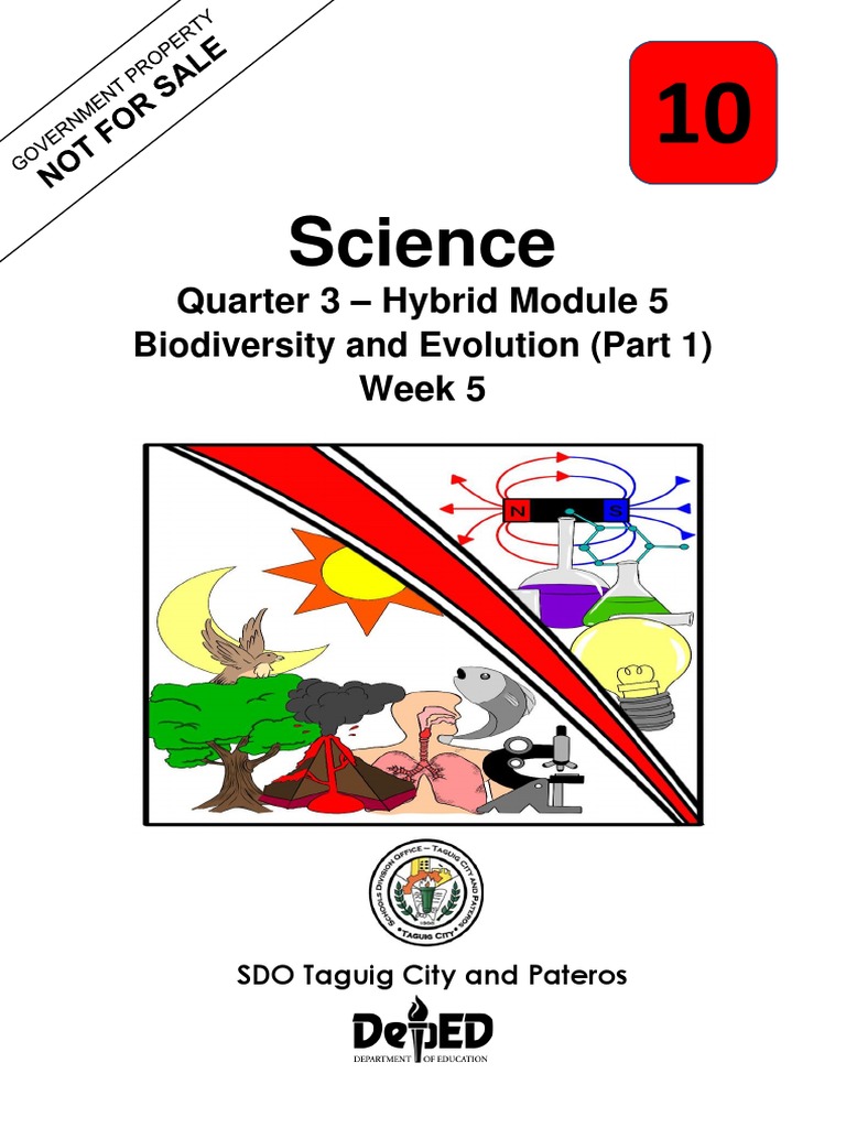 S10 Q3 Enhanced Hybrid Module 5 Week 5 Final | PDF | Mutation | Fossil