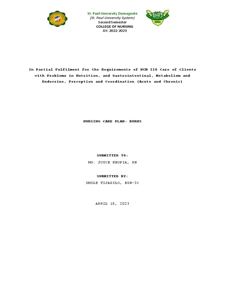 Burns NCP | PDF | Burn | Intravenous Therapy