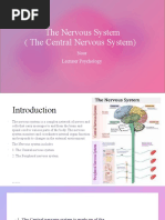 Class 5-Science Notes-The Nervous System | PDF | Brain | Nerve