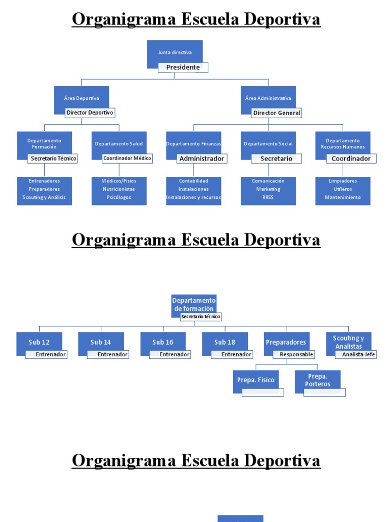 Ejemplo Organigrama Deportivo 0 | PDF
