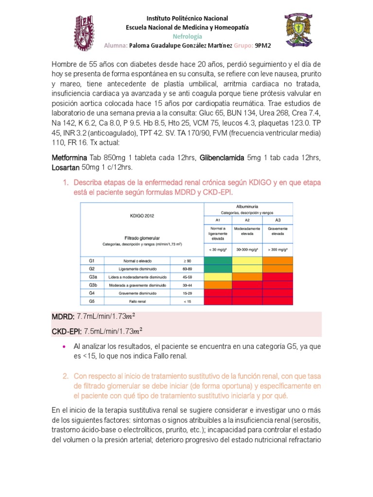 Describa Etapas de La Enfermedad Renal Crónica Según KDIGO y en Que ...